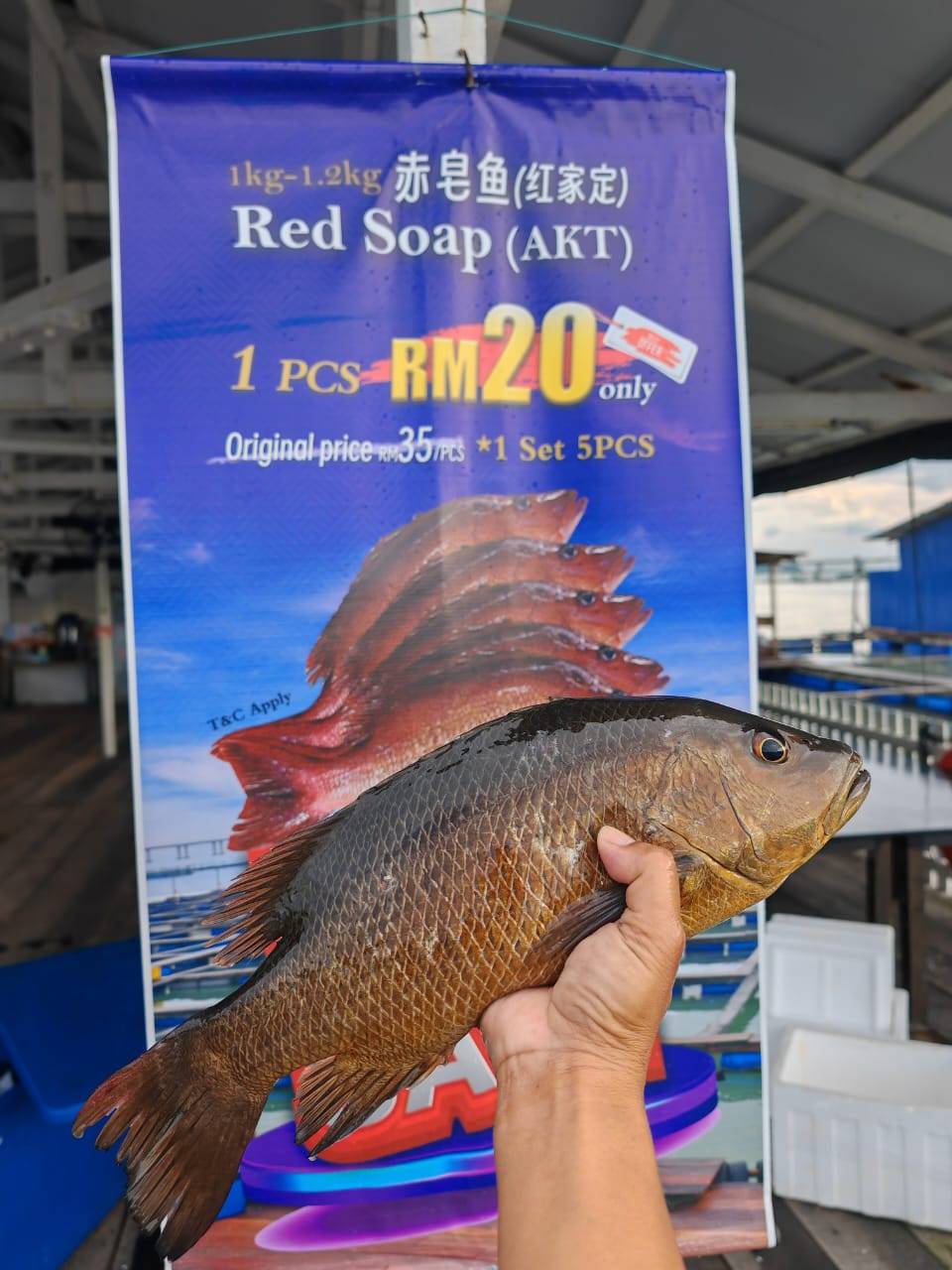 HLY Ocean - Product Details | Seafood Restaurant Penang & Agrotourism